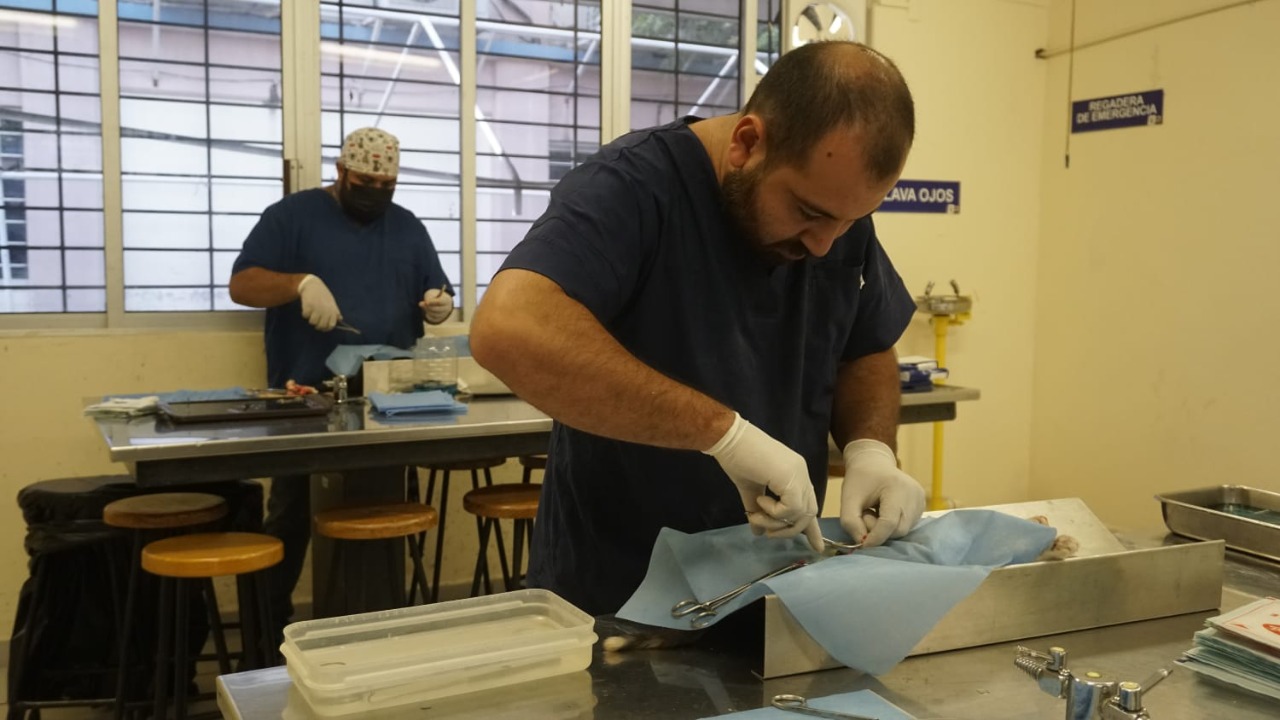 Realiza Ecología Campaña De Esterilización De Perros Y Gatos En Villa